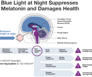 Circadian Blue Light